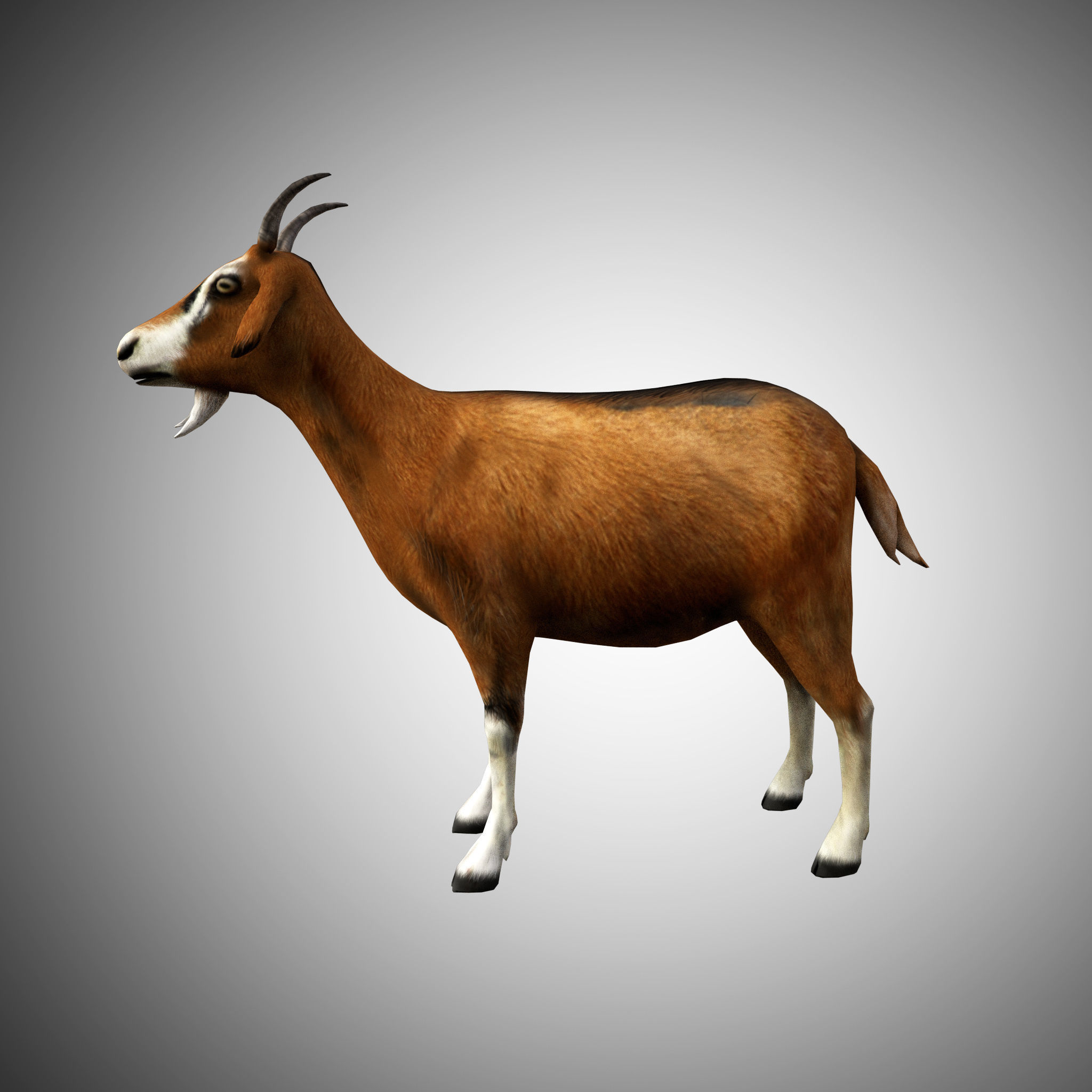 3D model 3d Goat VR / AR / low-poly | CGTrader