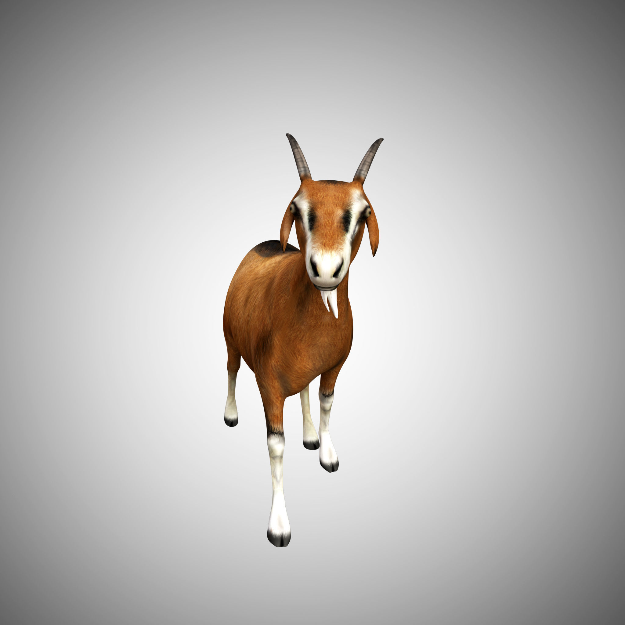3D model 3d Goat VR / AR / low-poly | CGTrader