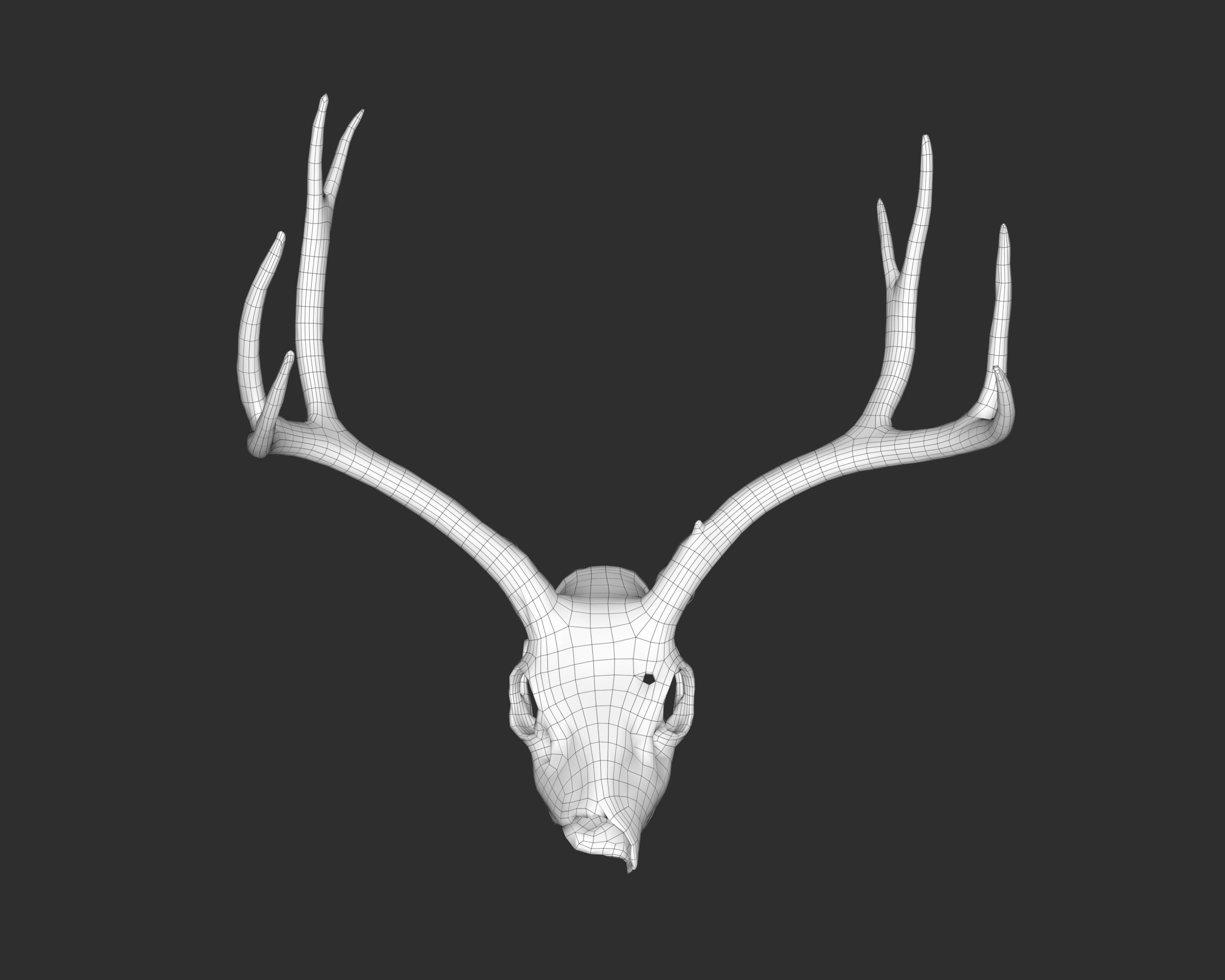 3D model Deer skull VR / AR / low-poly | CGTrader