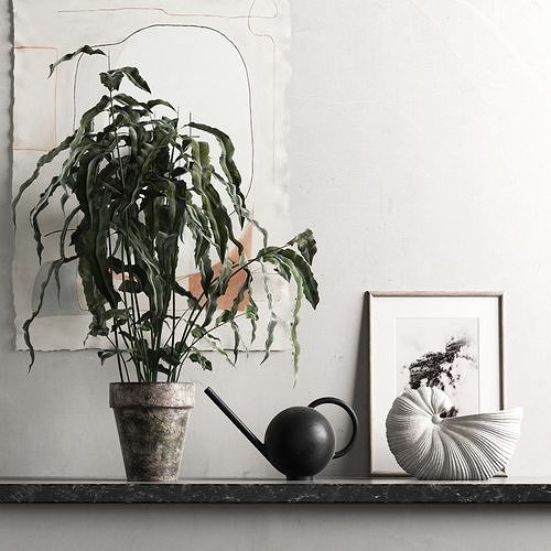 Plant with Watering Can and Shell Pot 3D model | CGTrader