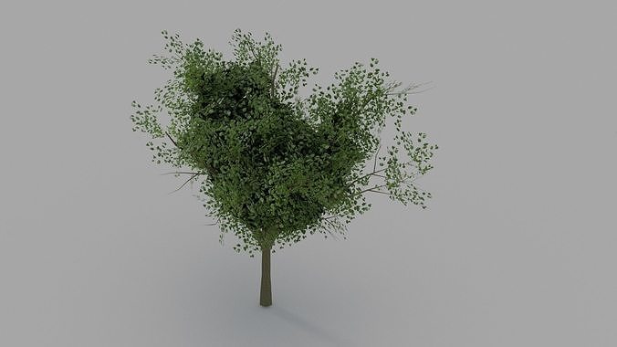 Realistic tree free VR / AR / low-poly 3D model | CGTrader