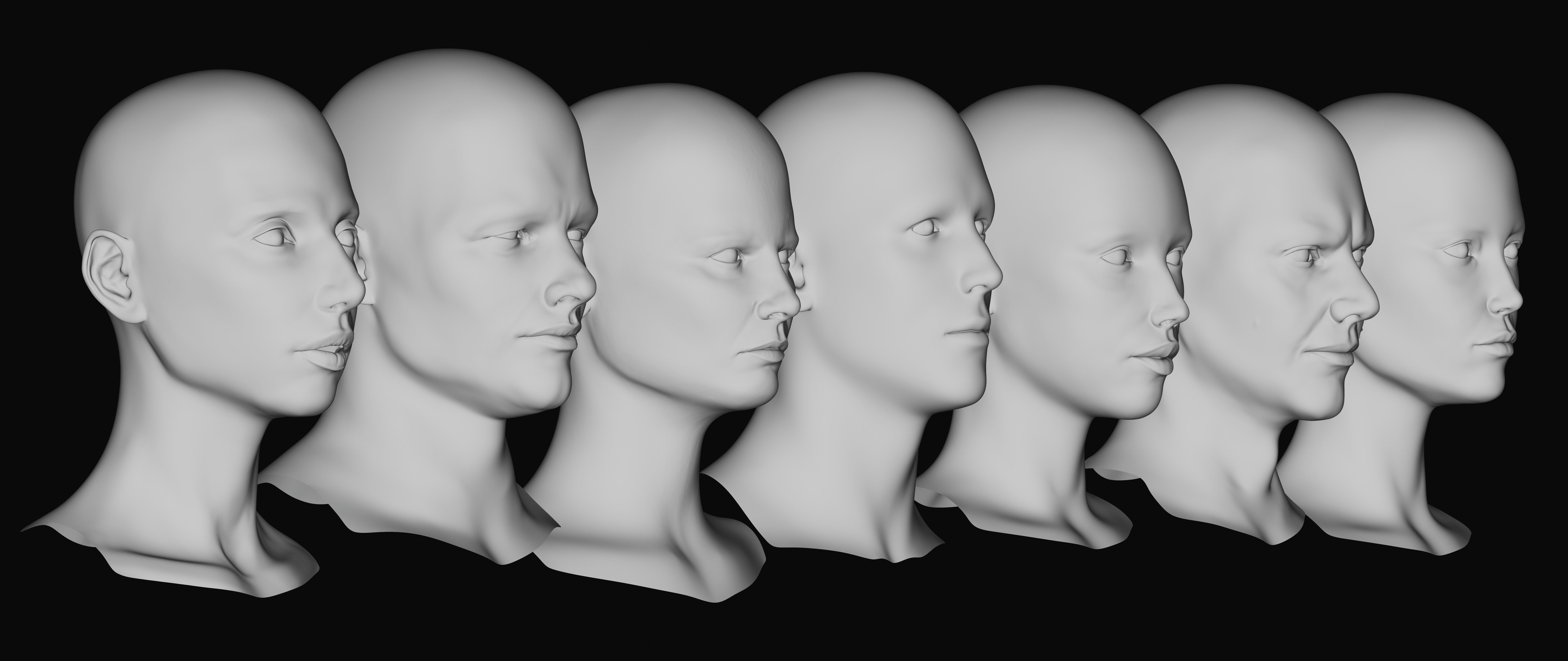 3D model Anatomy Reference VR / AR / low-poly | CGTrader