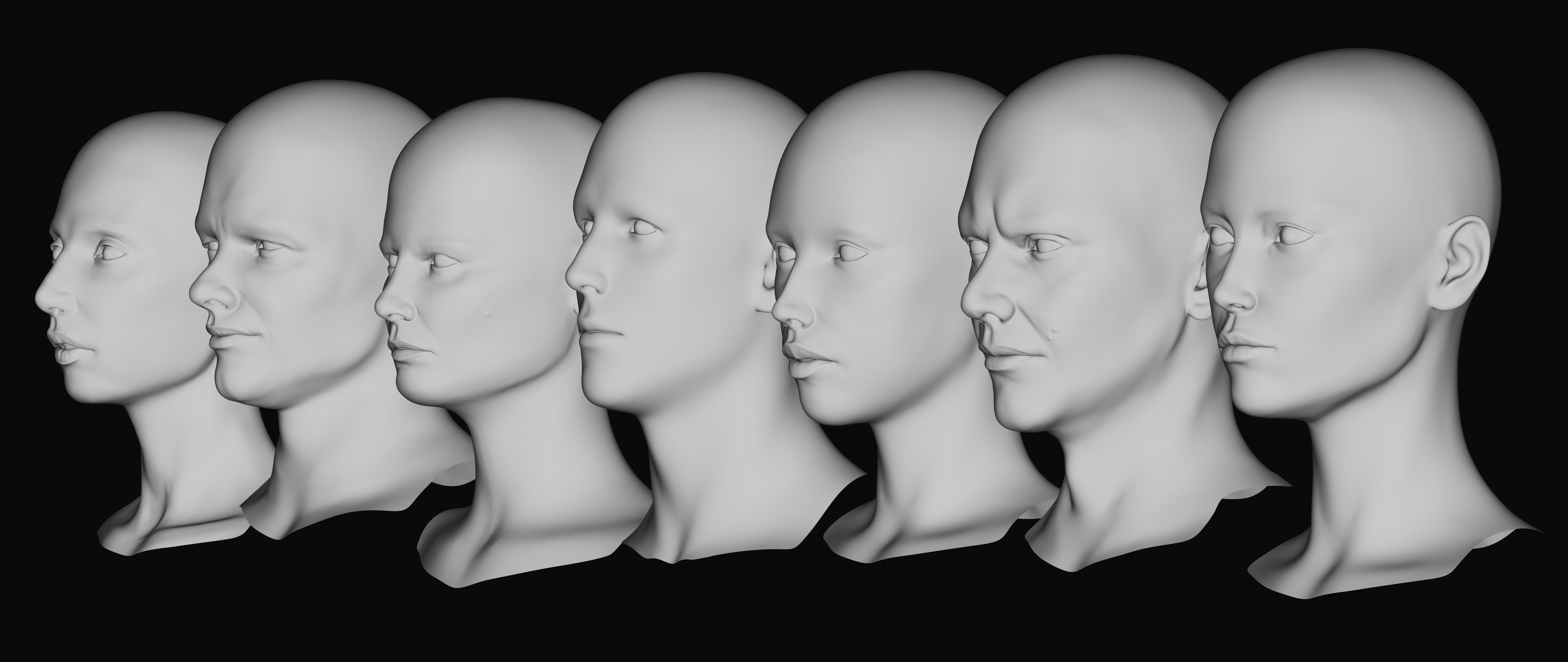 3D model Anatomy Reference VR / AR / low-poly | CGTrader