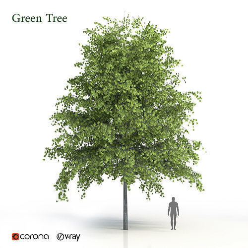 Green tree 3D model | CGTrader