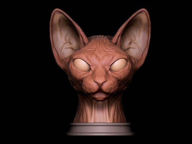 Sphynx Cat 3D Print Model 3D model 3D printable | CGTrader