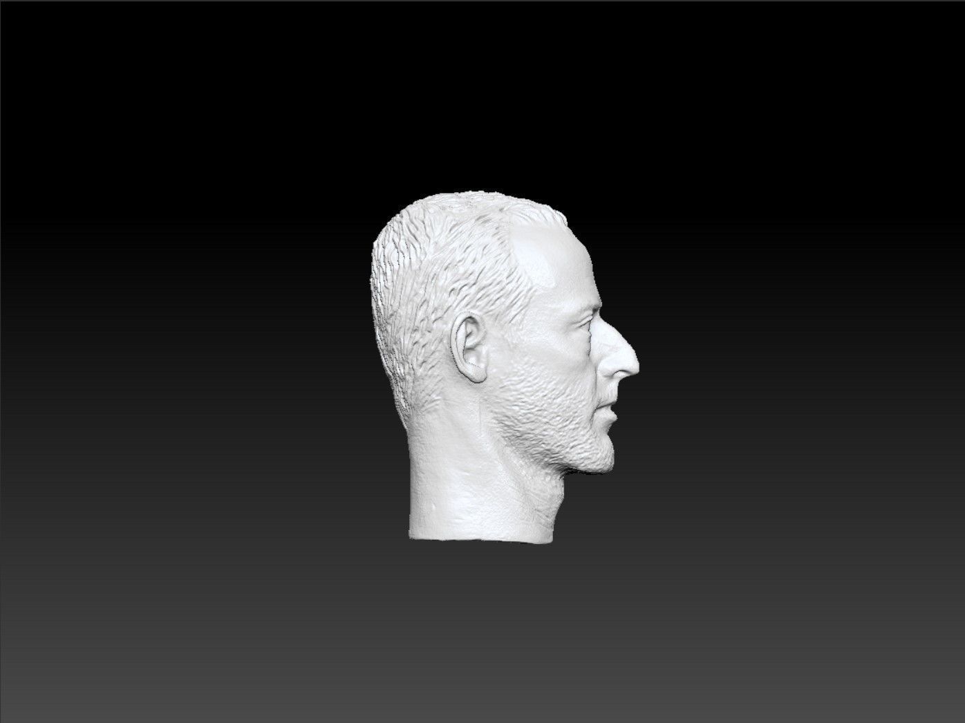 Jean Reno Head sculpture 3D print model 3D model 3D printable | CGTrader