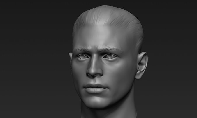 Male Head Sculpt 5 3D model | CGTrader