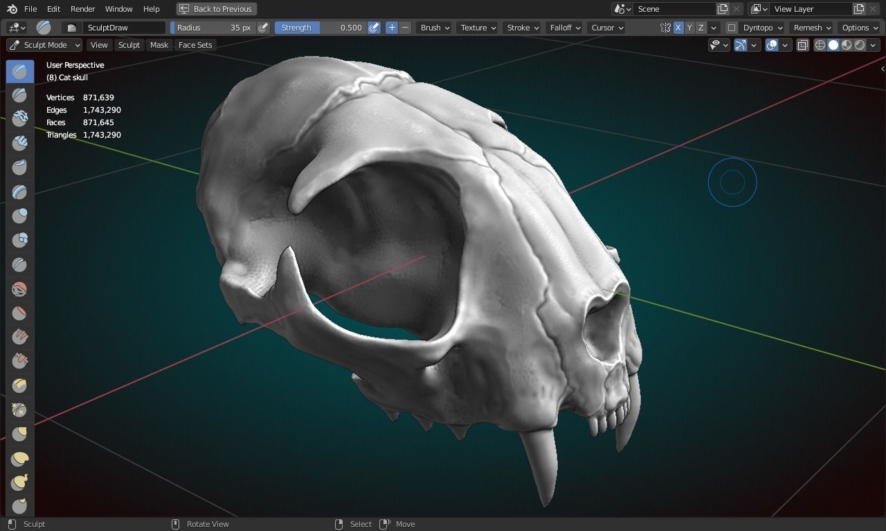 Cat Skull 3D model | CGTrader
