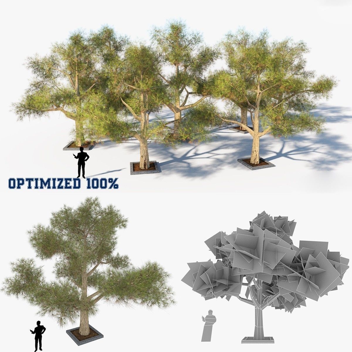 3D model Tree Optimized VR / AR / low-poly | CGTrader