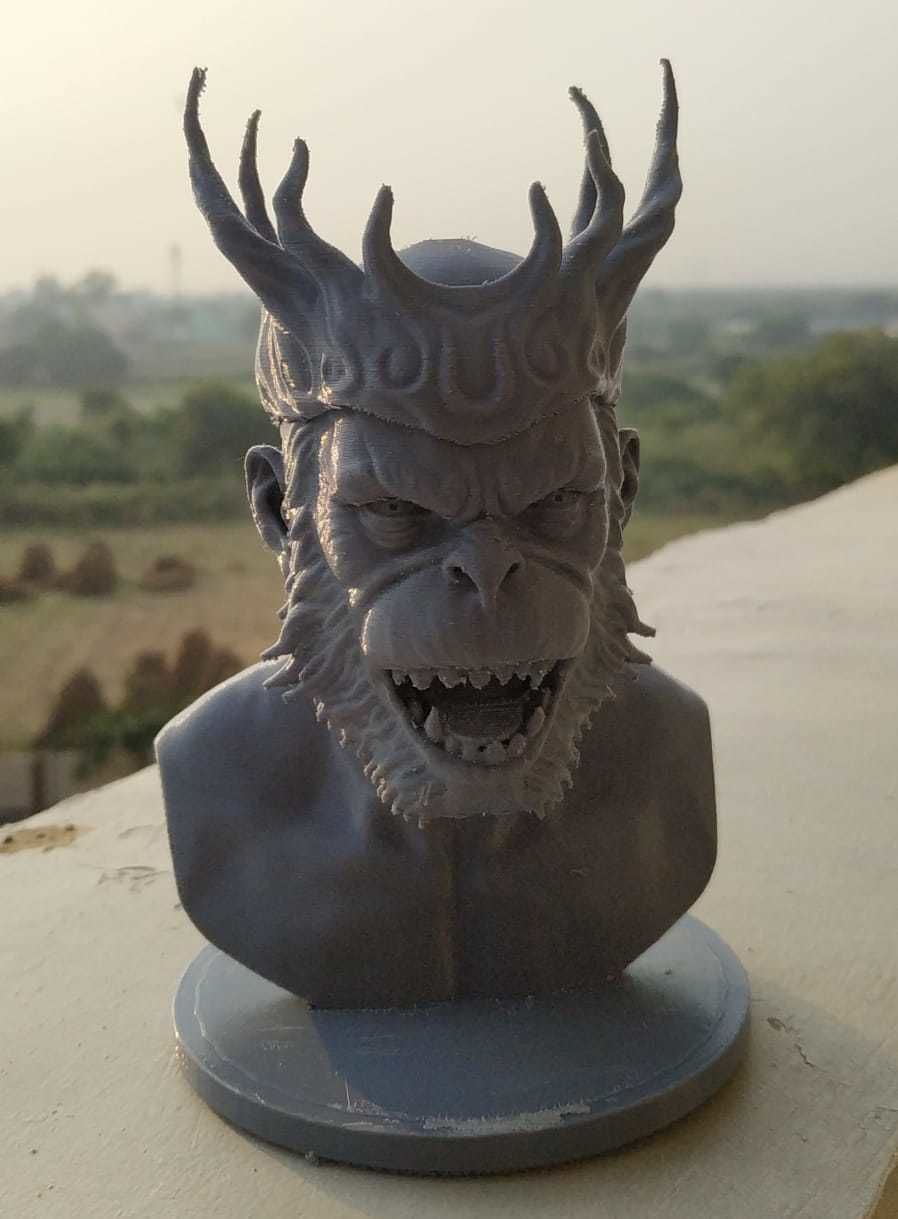 monkey Monkey King 3D printable model | CGTrader