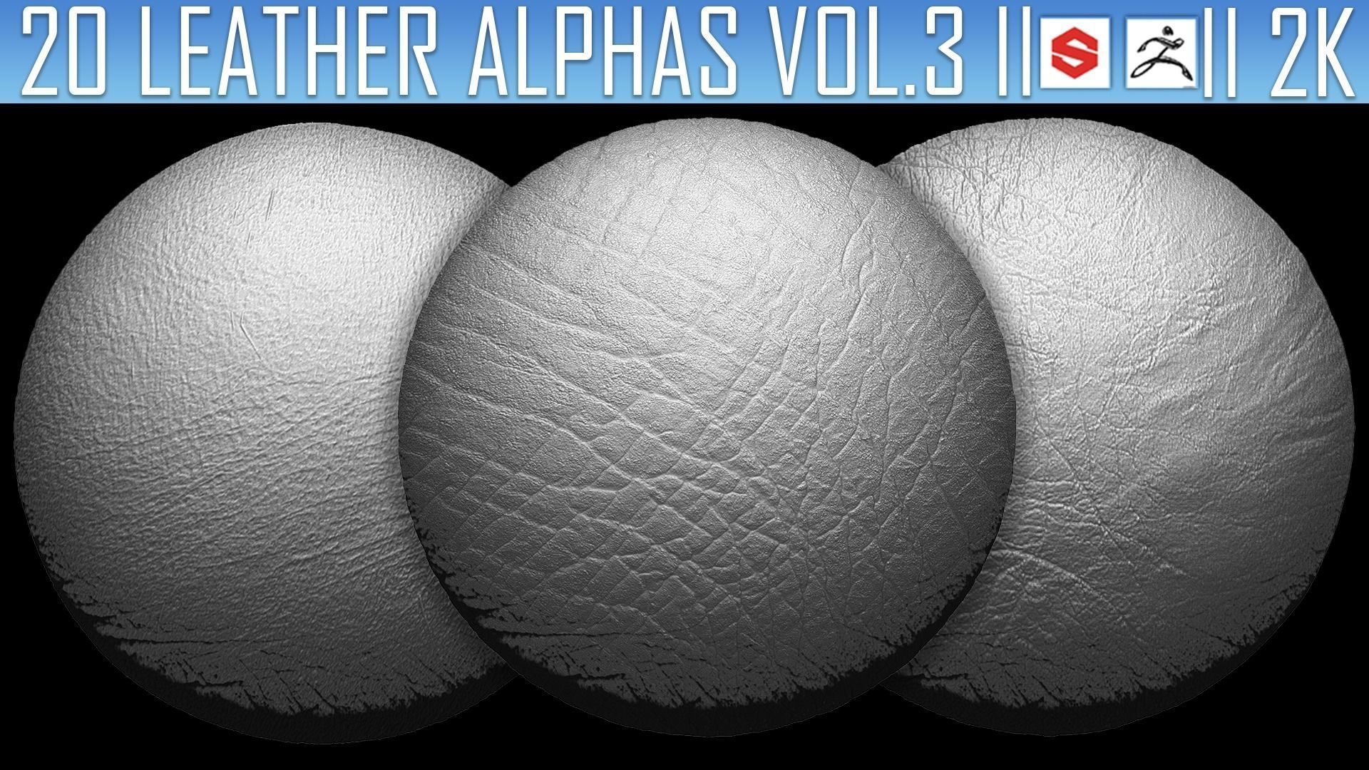 Leather Alphas ZBrush PSD 3D model | CGTrader