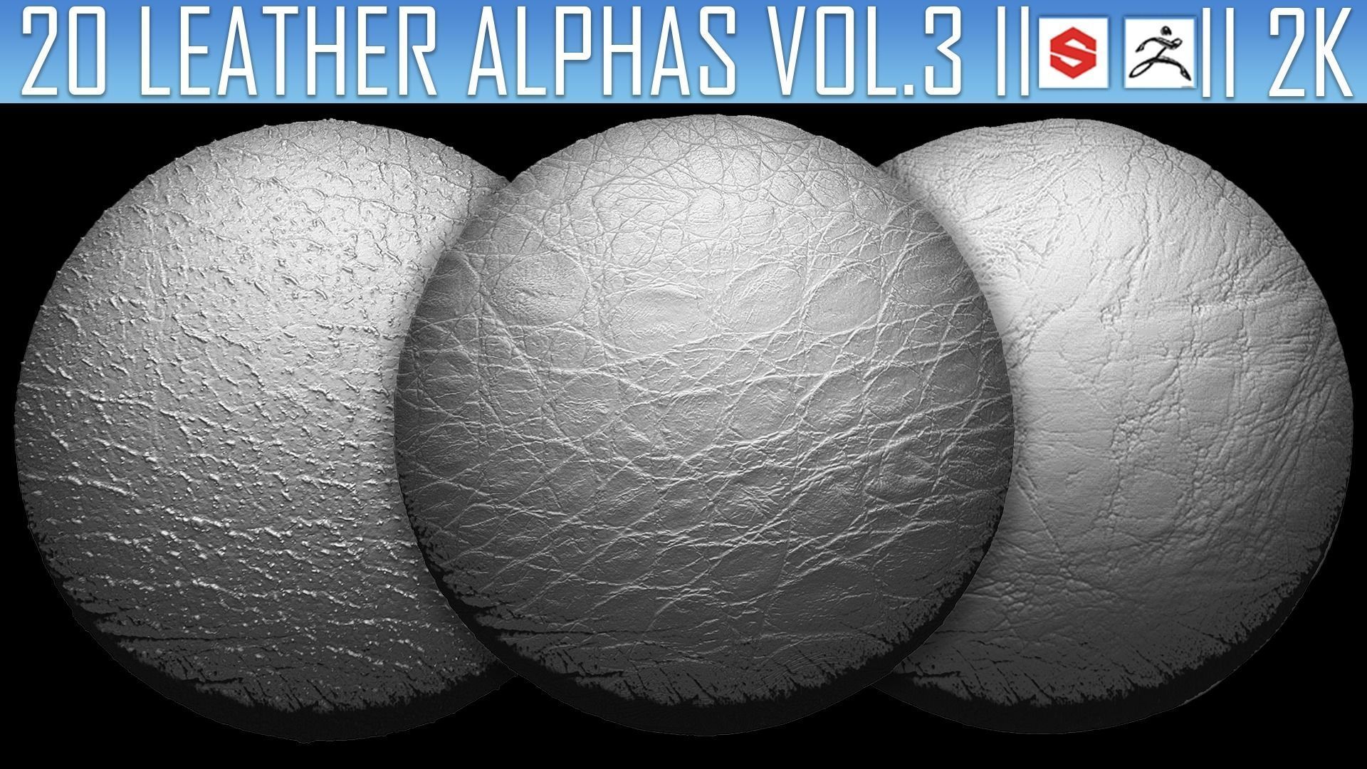 Leather Alphas ZBrush PSD 3D model | CGTrader