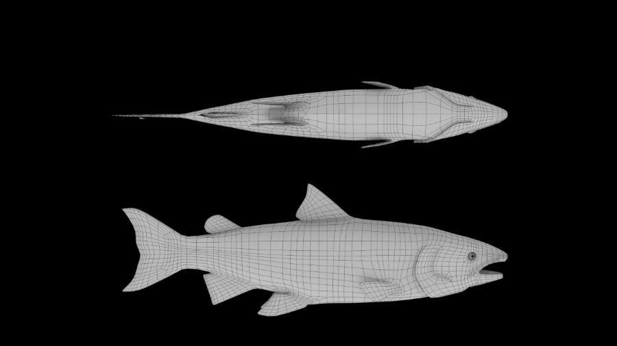 3D model Salmon VR / AR / low-poly | CGTrader