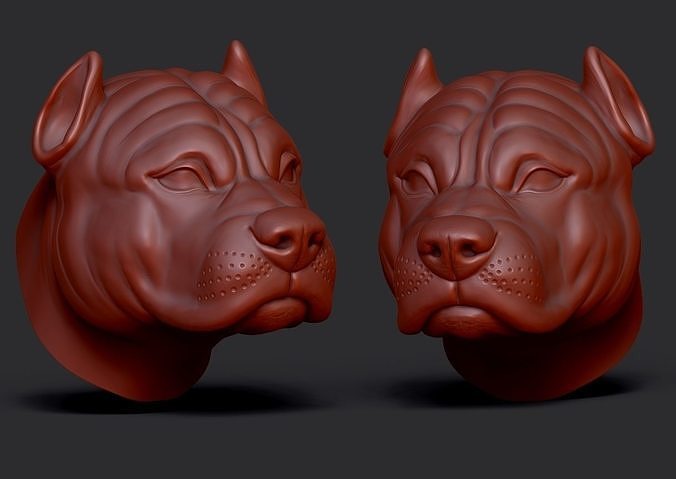 pitbull head 3D model 3D printable | CGTrader