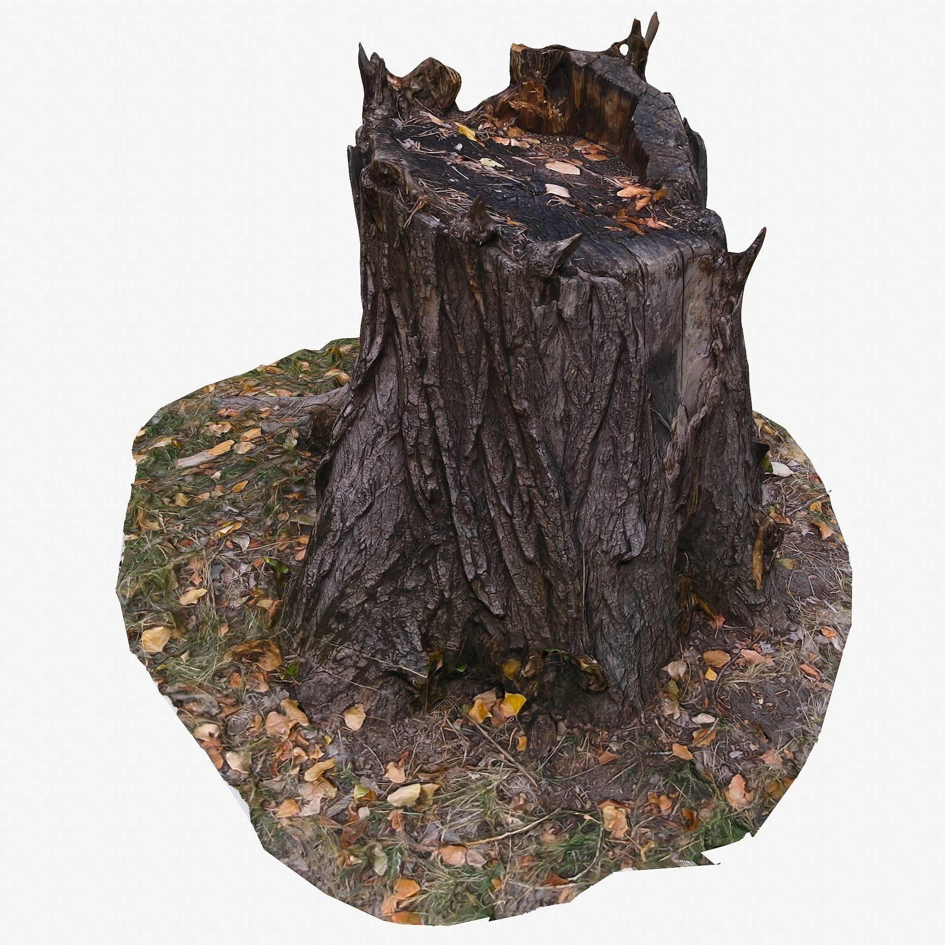 3D model 3D Scan BPR Tree Stump Collection model VR / AR / low-poly ...