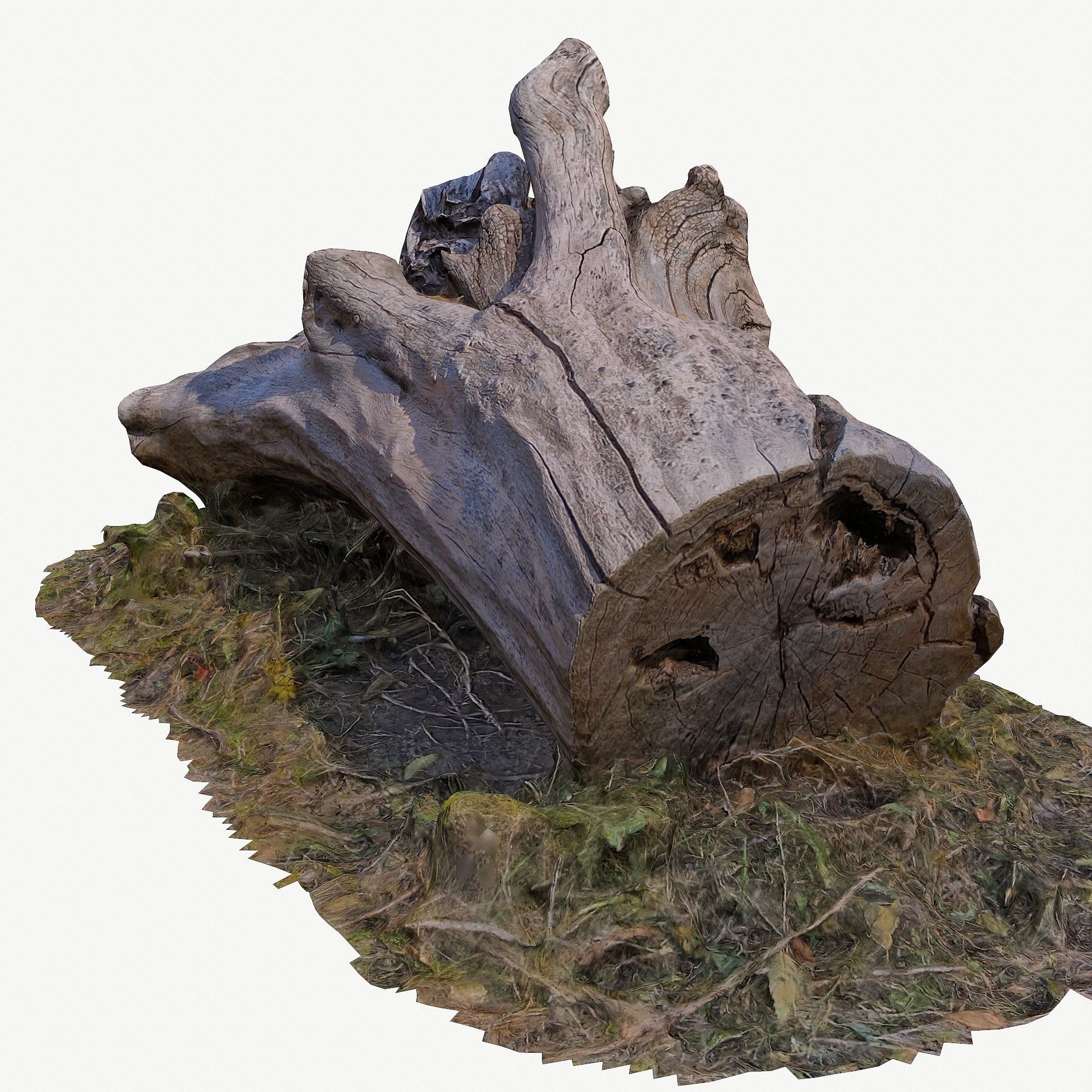 3D model 3D Scan BPR Tree Stump Collection model VR / AR / low-poly ...