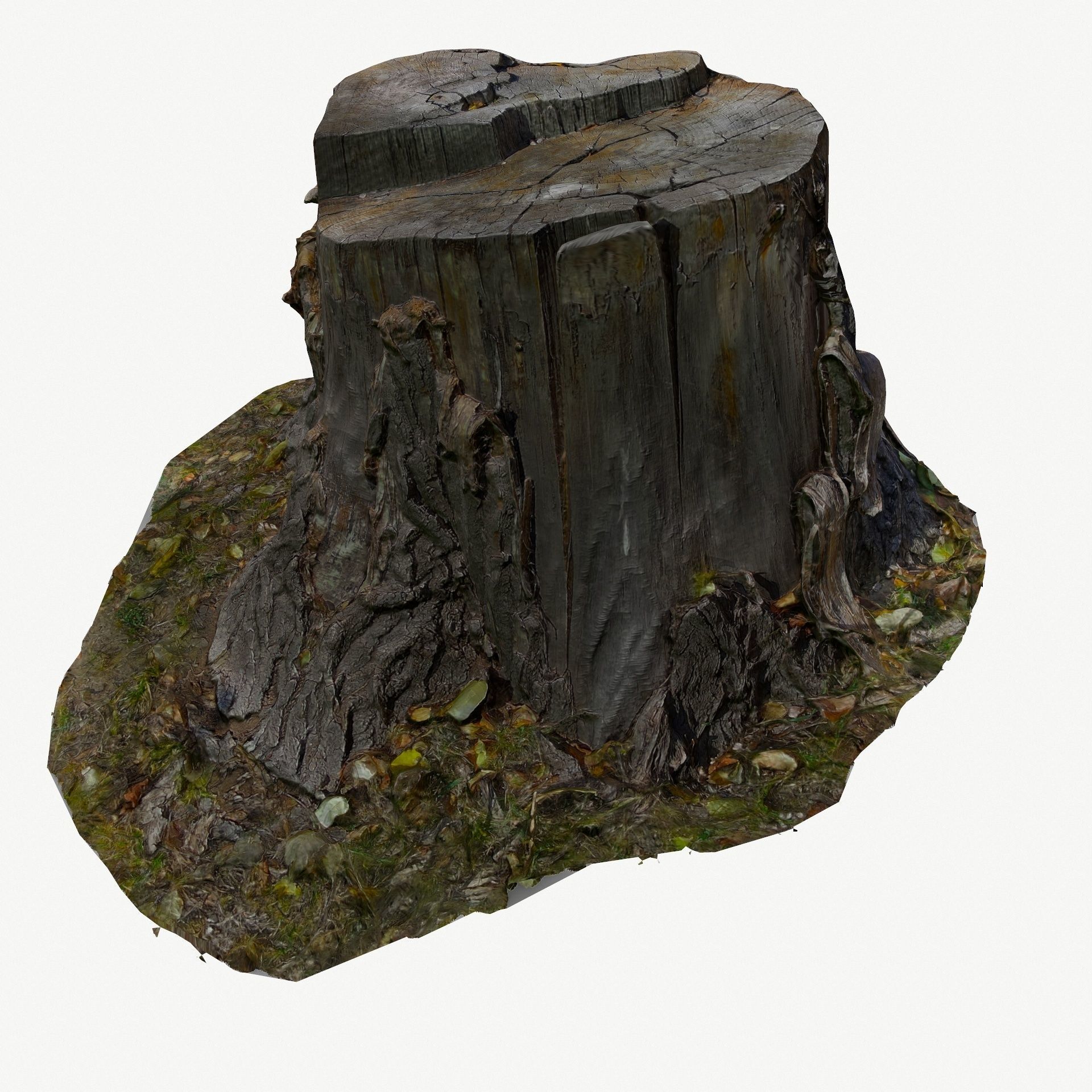 3D model 3D Scan BPR Tree Stump Collection model VR / AR / low-poly ...