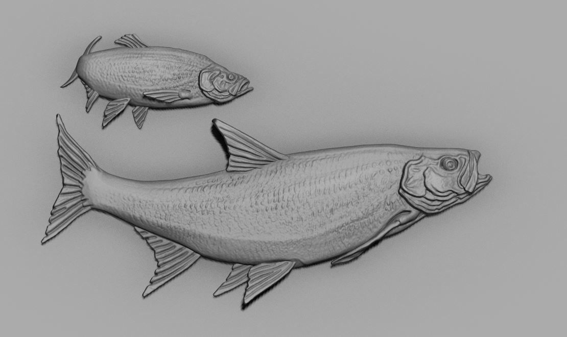 fish relief 3D model 3D printable | CGTrader