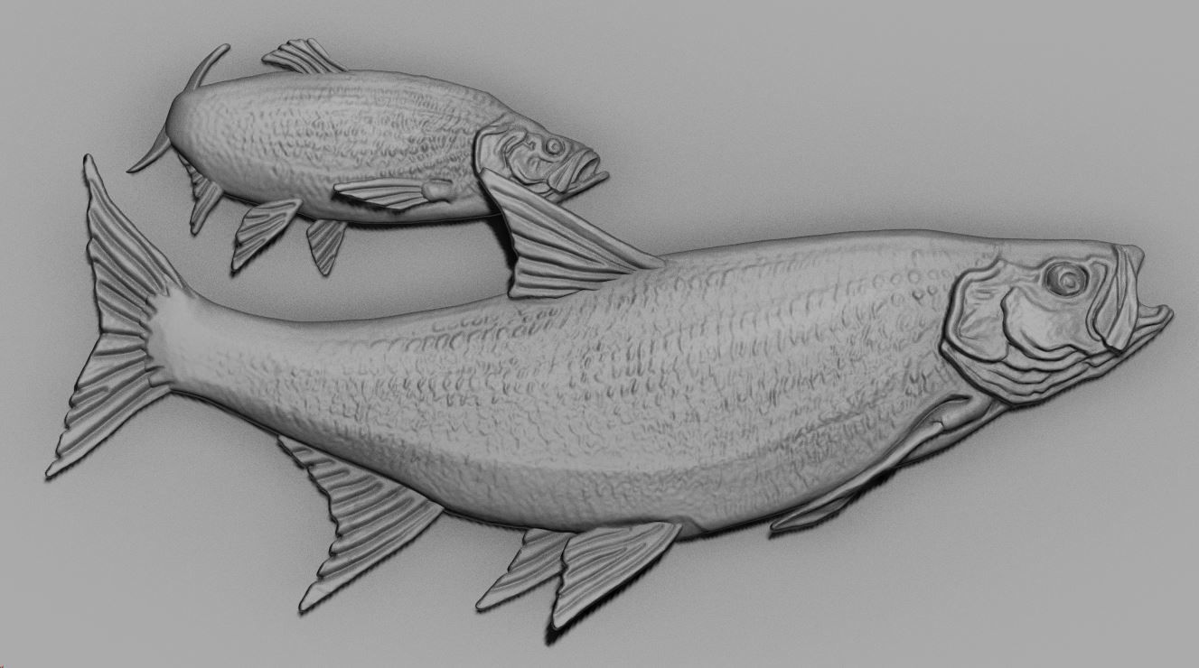 fish relief 3D model 3D printable | CGTrader