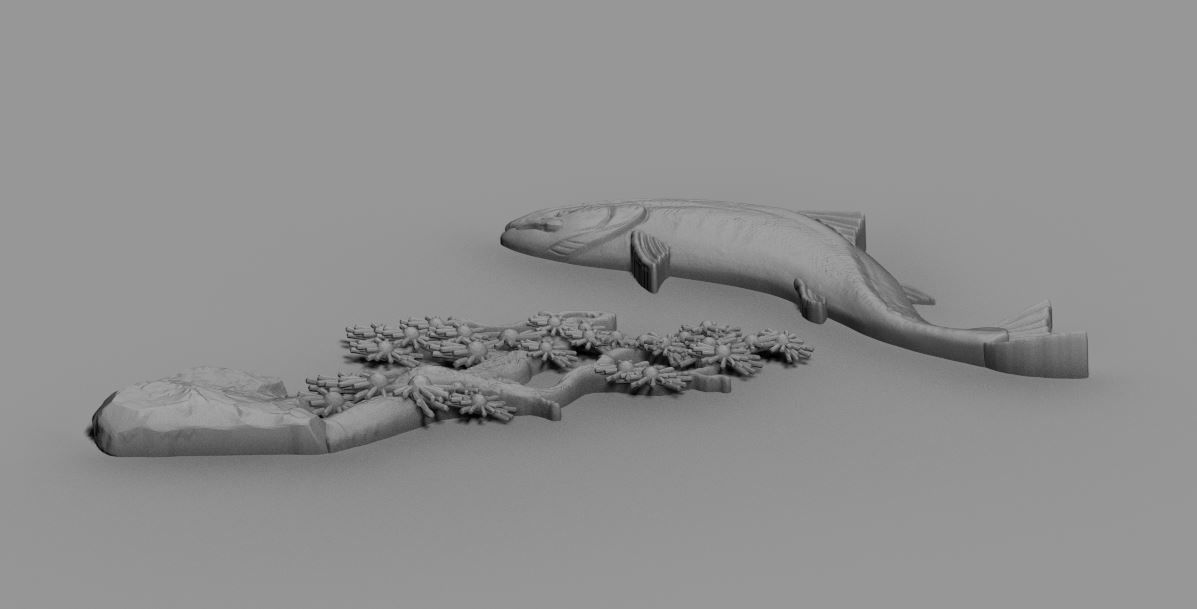 salmon fish 3D model 3D printable | CGTrader