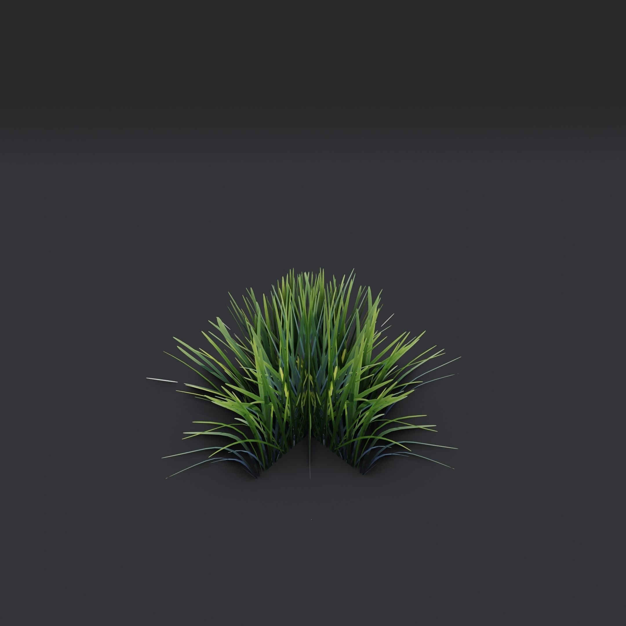 3D model Lowpoly Simple Grass VR / AR / low-poly | CGTrader