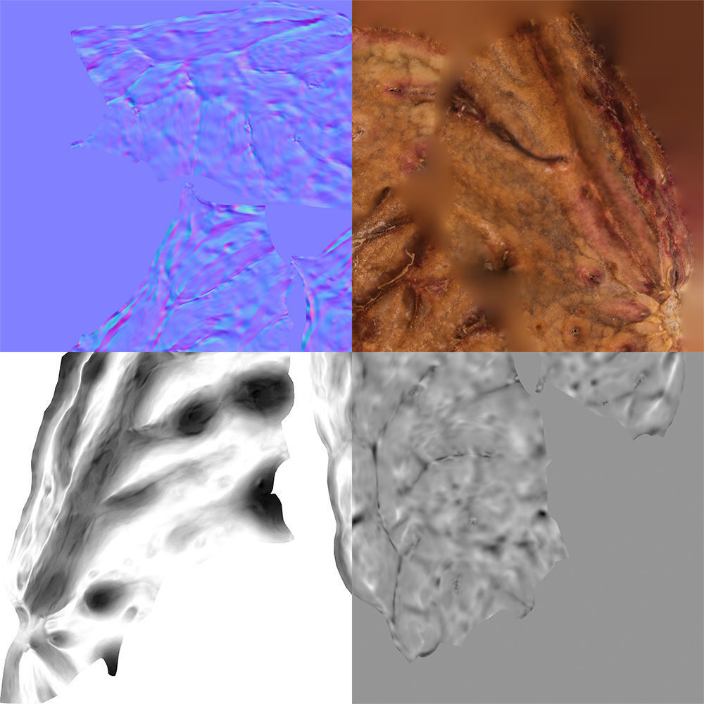 Peach Pit 001 3D model | CGTrader