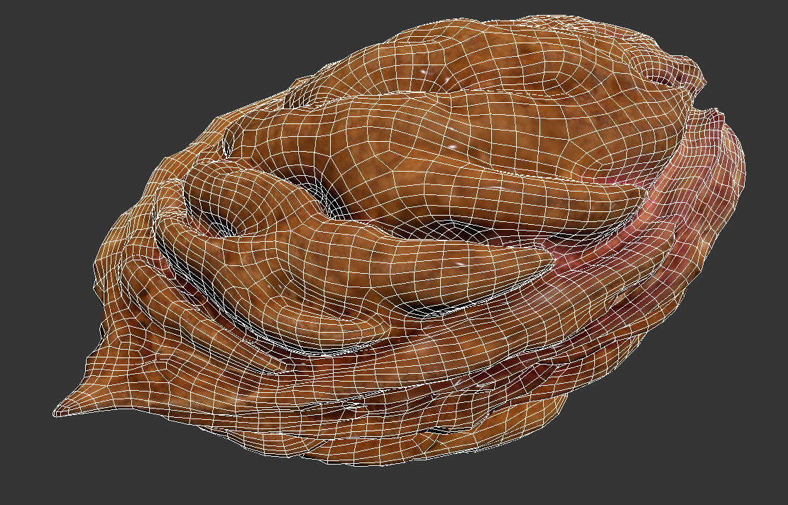 Peach Pit 001 3D model | CGTrader