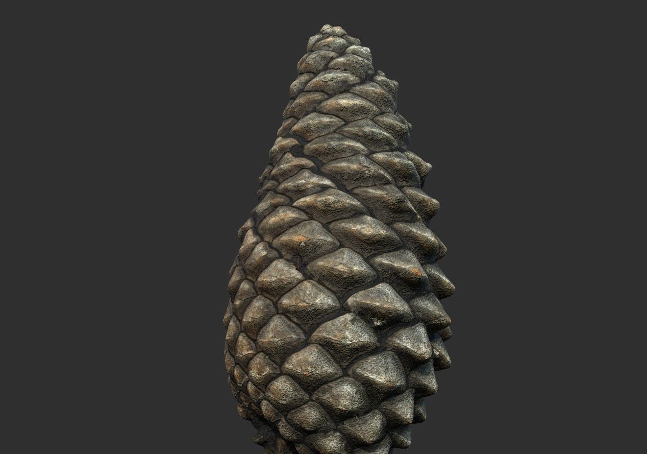 3D model PINECONE VR / AR / low-poly | CGTrader