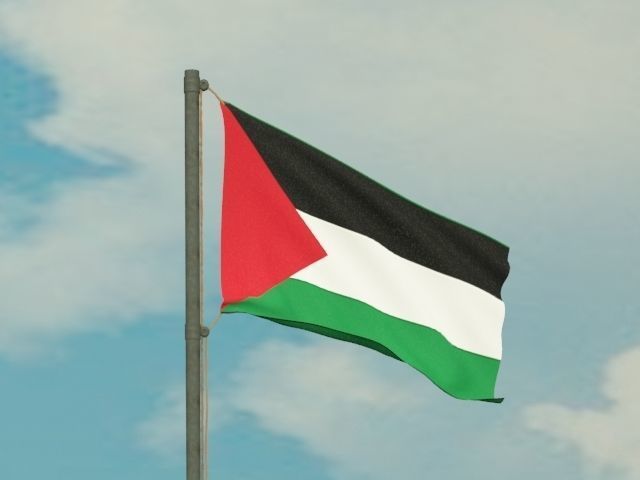 Flags of all 196 countries 3D model rigged | CGTrader