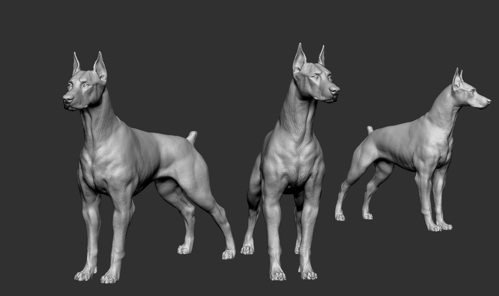 Doberman model STL 3D model 3D printable | CGTrader