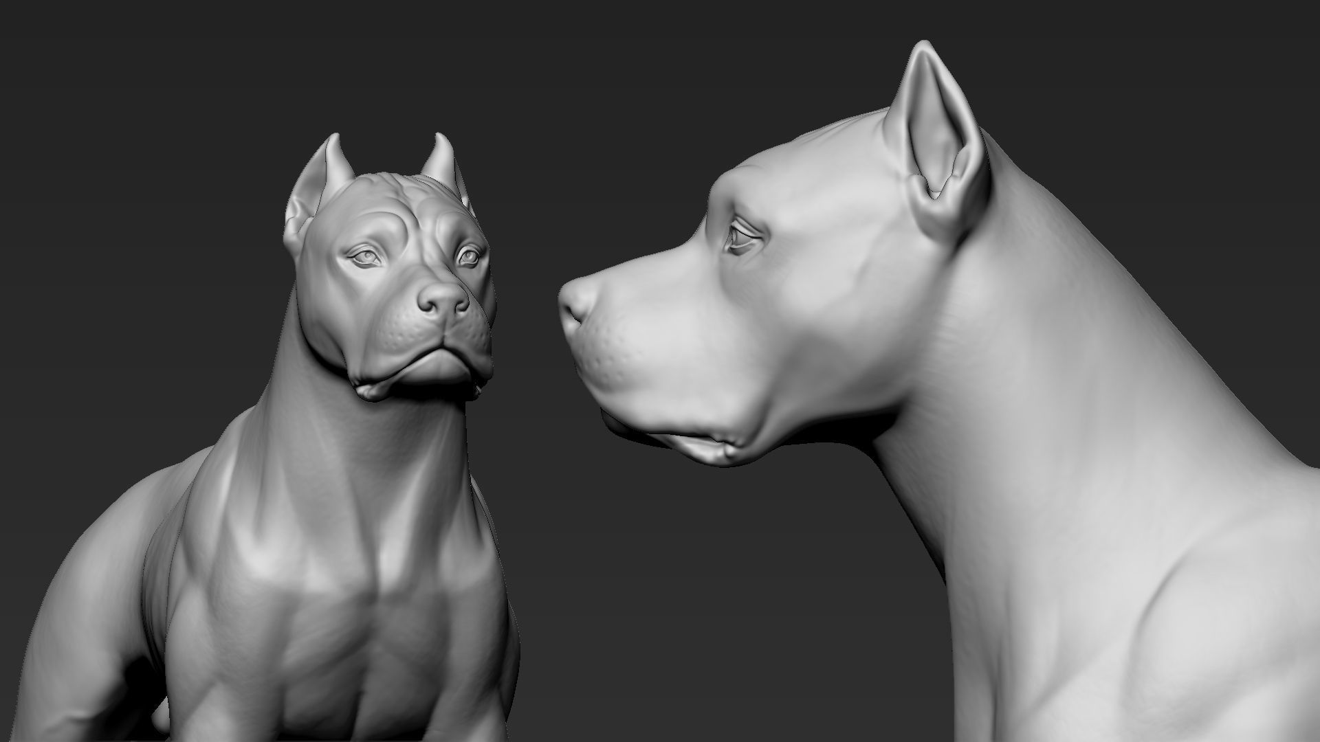 Dogo Argentino 3D model 3D printable | CGTrader