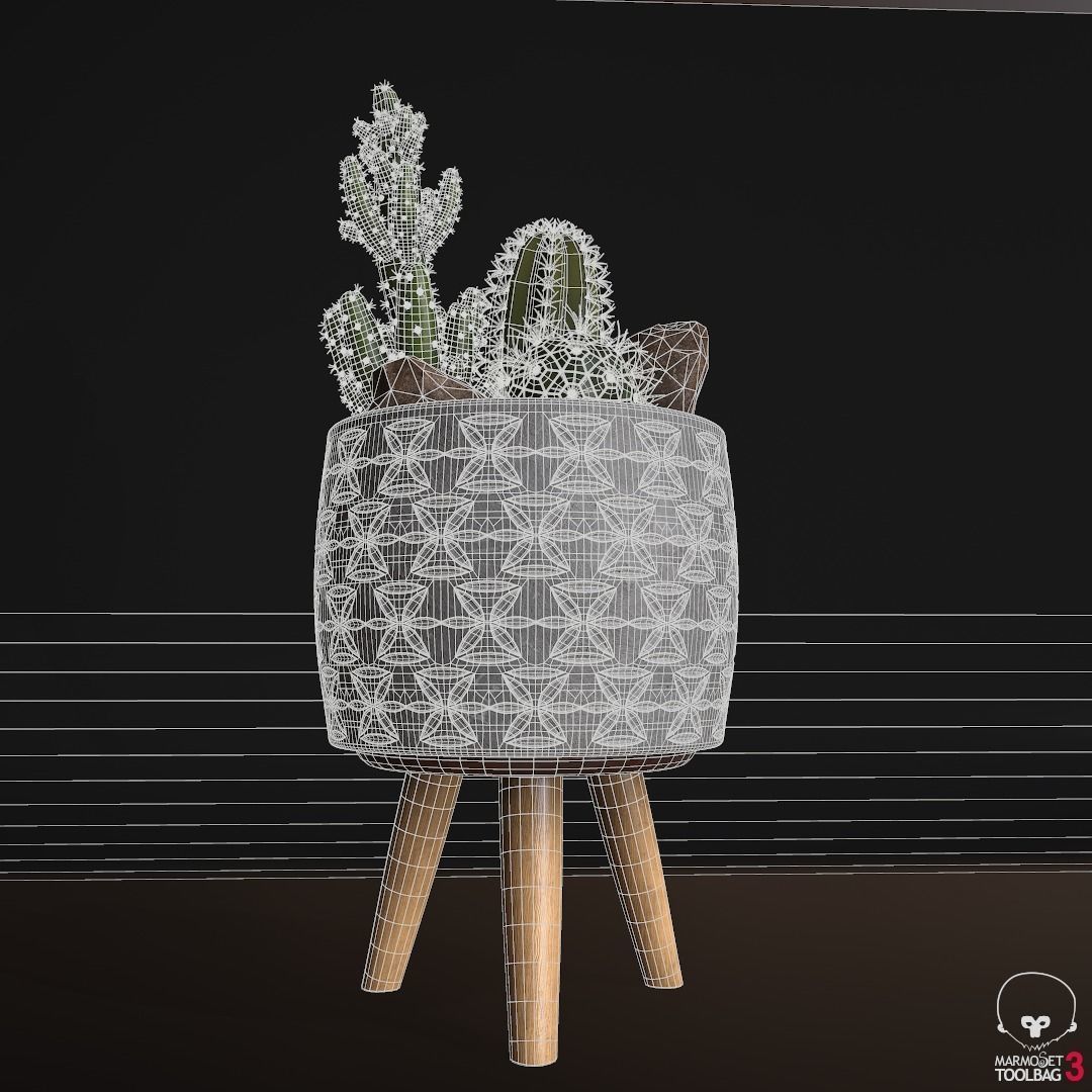 Realistic Cactus Prop 3D model | CGTrader