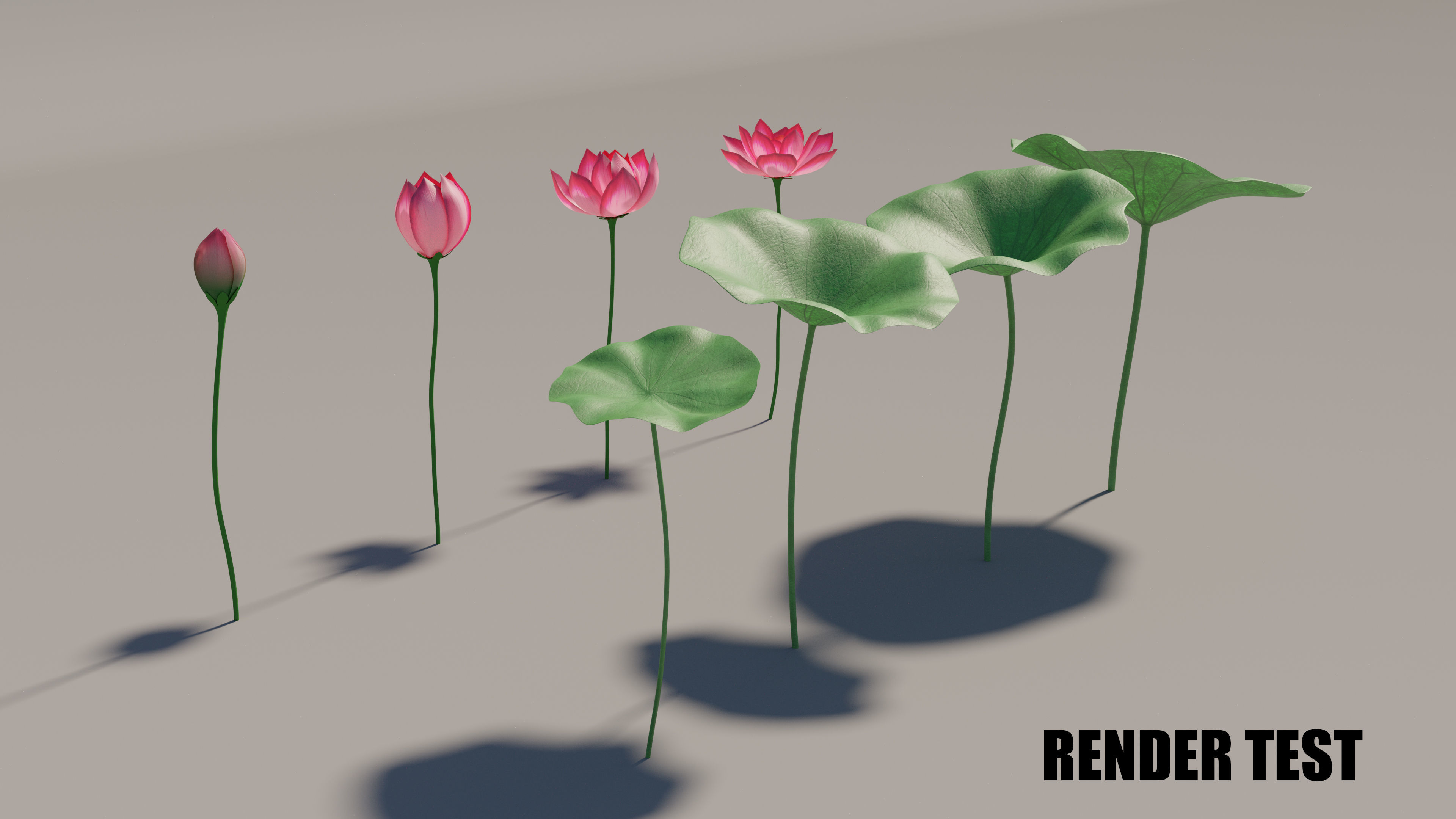 3D model Asia Lotus 3D model VR / AR / low-poly | CGTrader