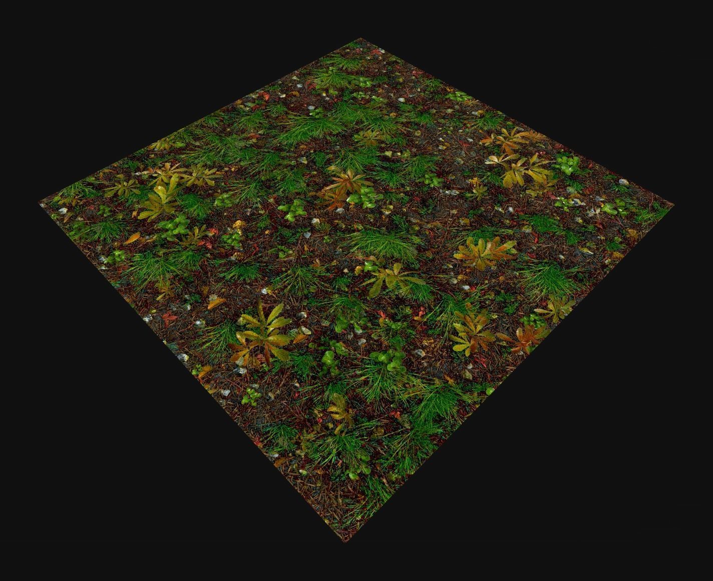 Forest Ground Texture free Texture | CGTrader