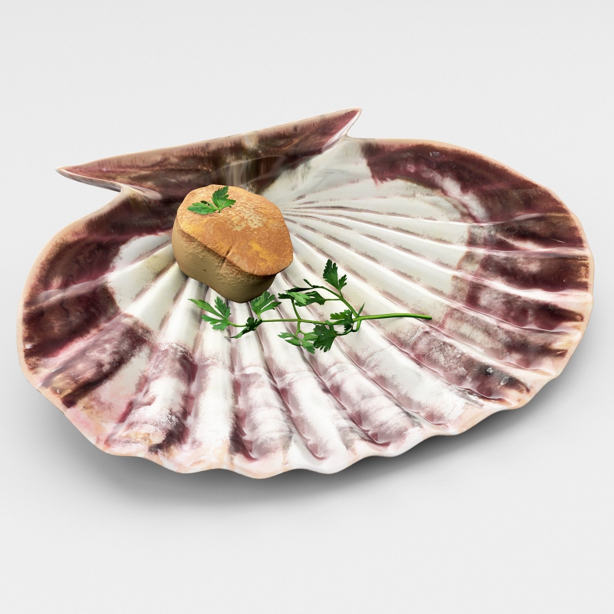 Scallop parsley shell cartoon 3D model | CGTrader