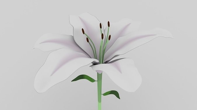 3D model Lily flower low and high poly model VR / AR / low-poly | CGTrader