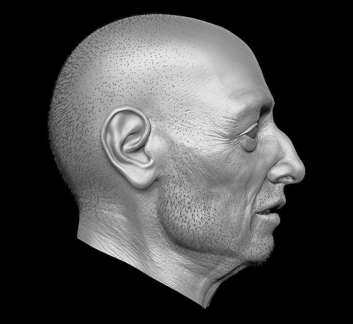Old man head sculpt 3D model | CGTrader