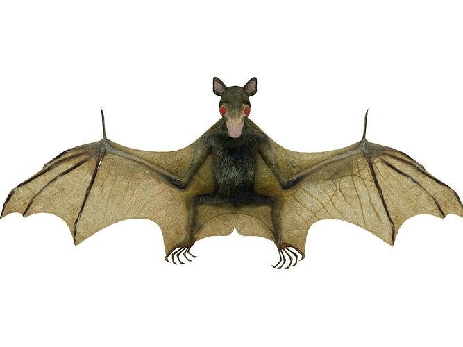 Flying dog 3D model | CGTrader