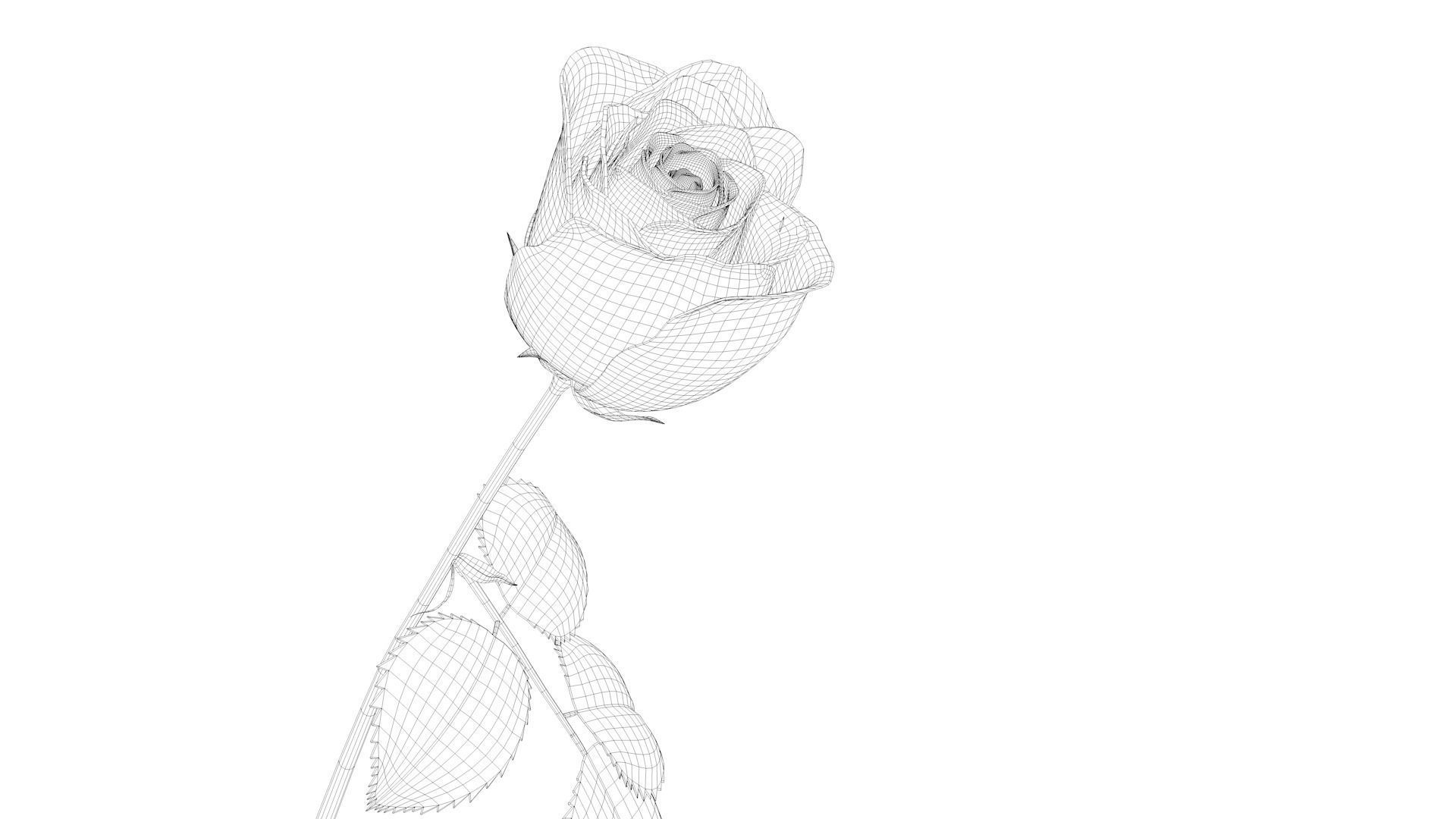 3d Rose Animated 3D model animated rigged | CGTrader