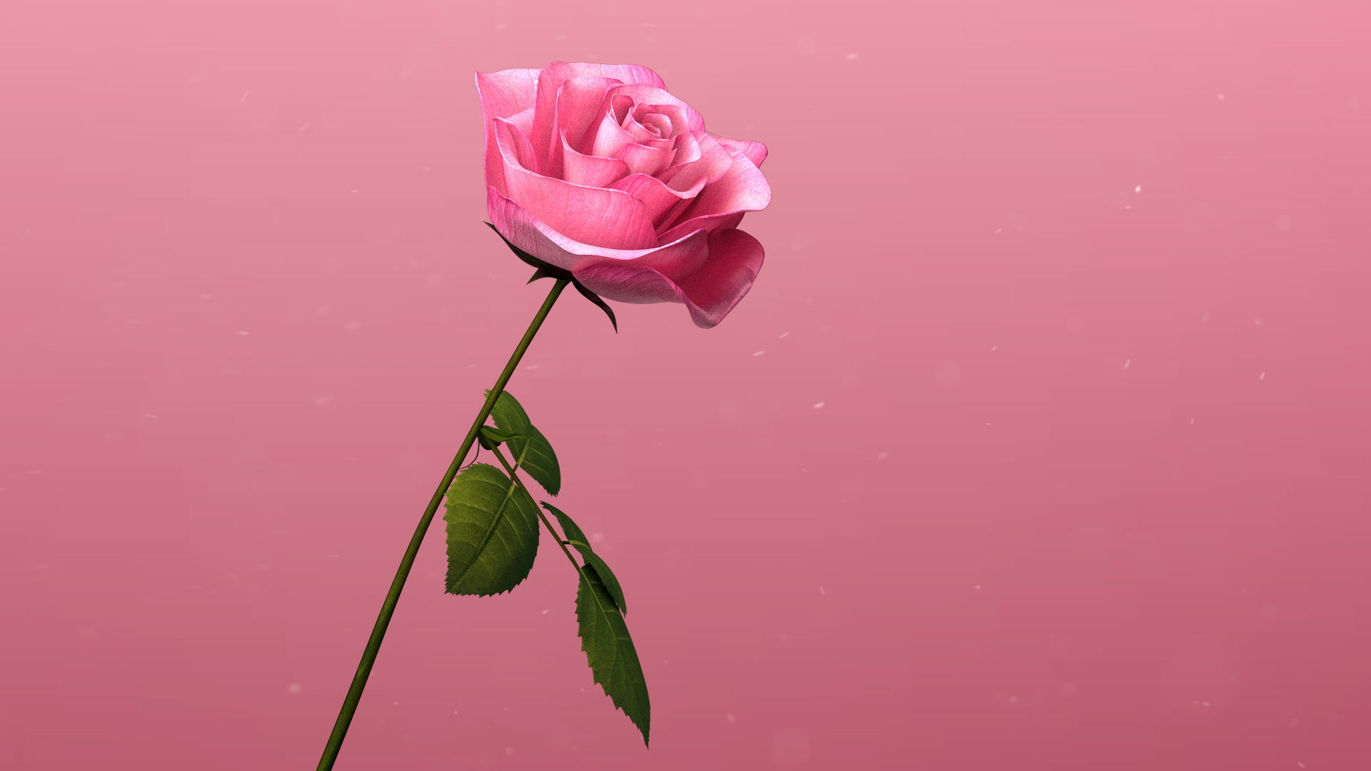3d Rose Animated 3D model animated rigged | CGTrader