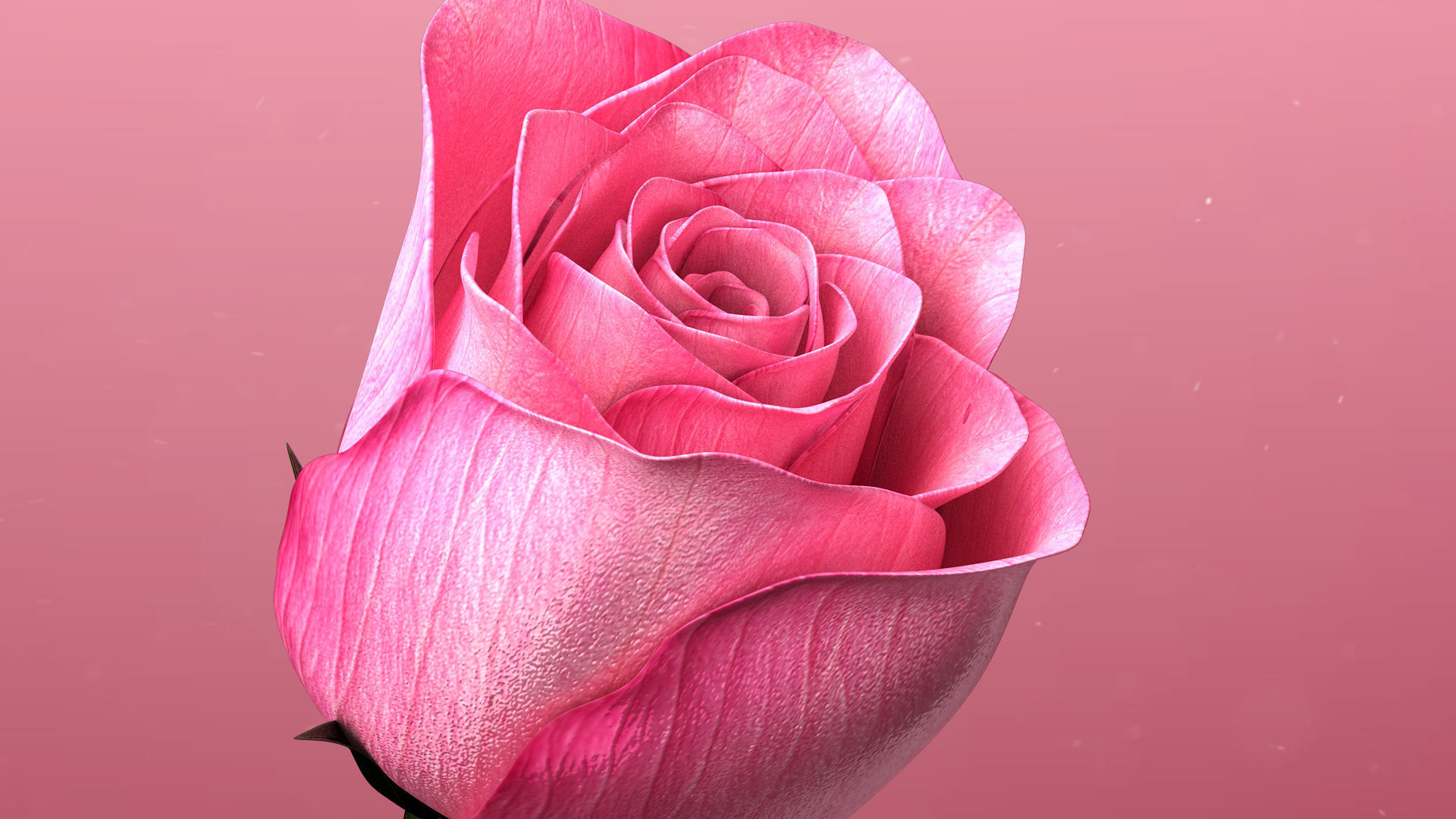 3d Rose Animated 3D model animated rigged | CGTrader