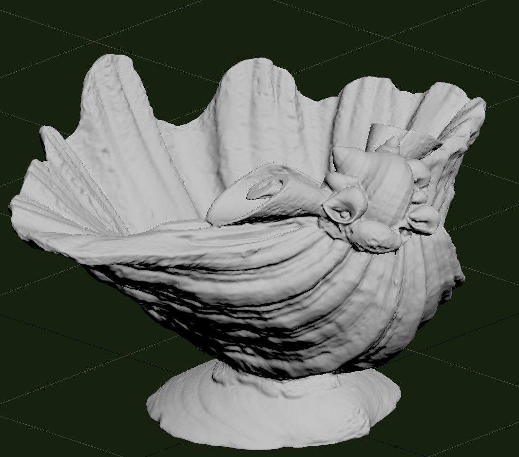 3D model Shell Bowl VR / AR / low-poly | CGTrader