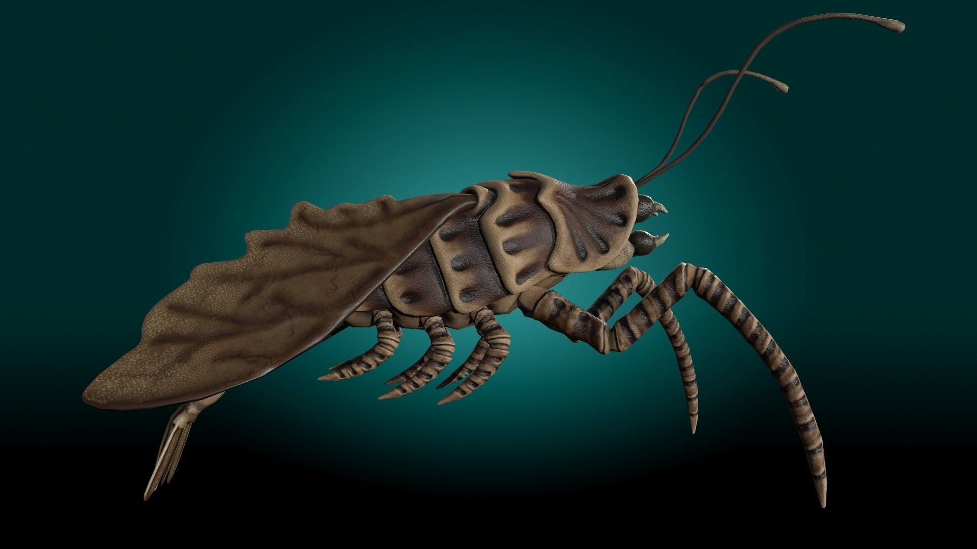 3D model Flying Shrimp Monster VR / AR / low-poly rigged animated ...