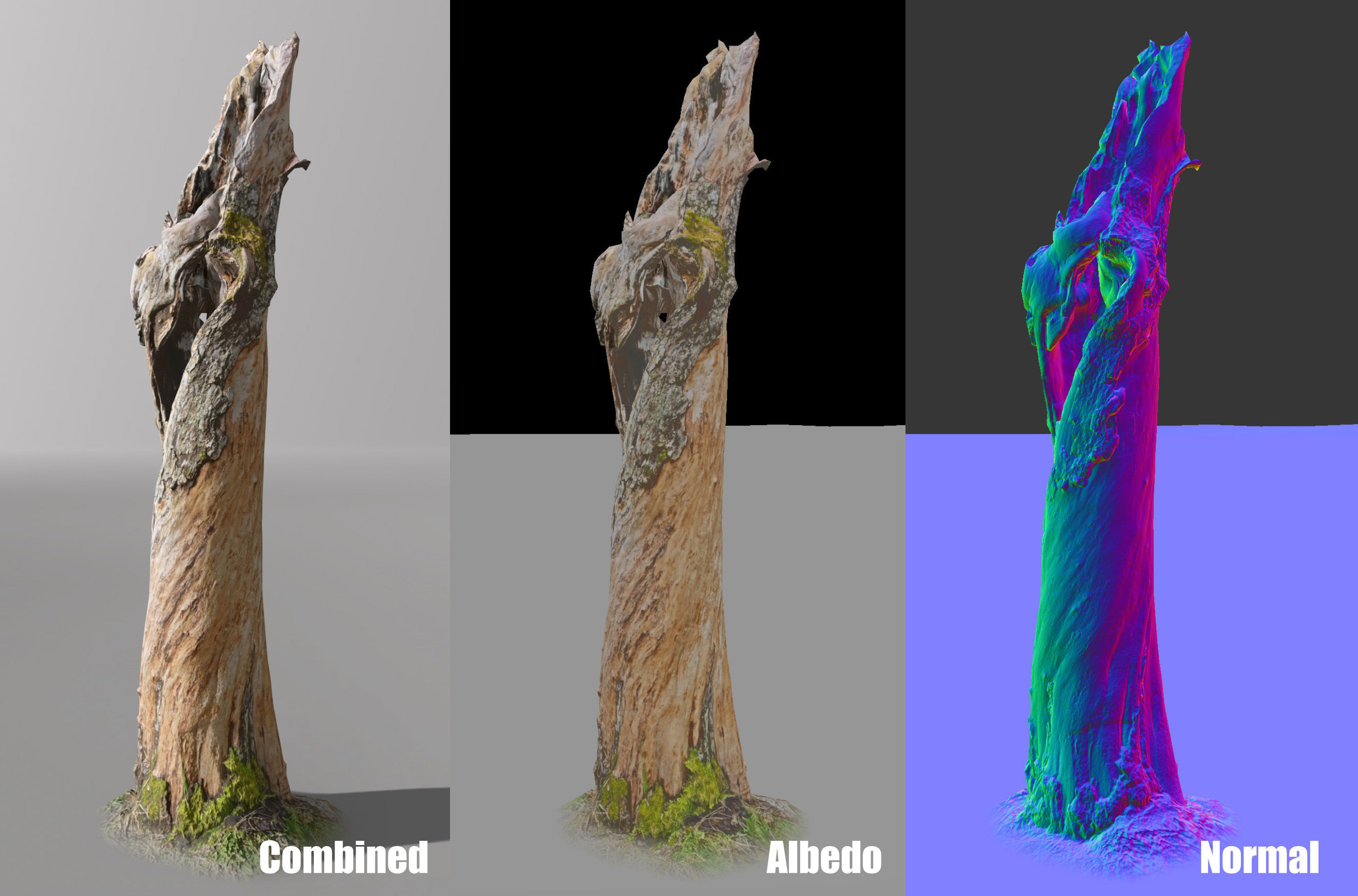 Tree dead 03 Scan free VR / AR / low-poly 3D model | CGTrader