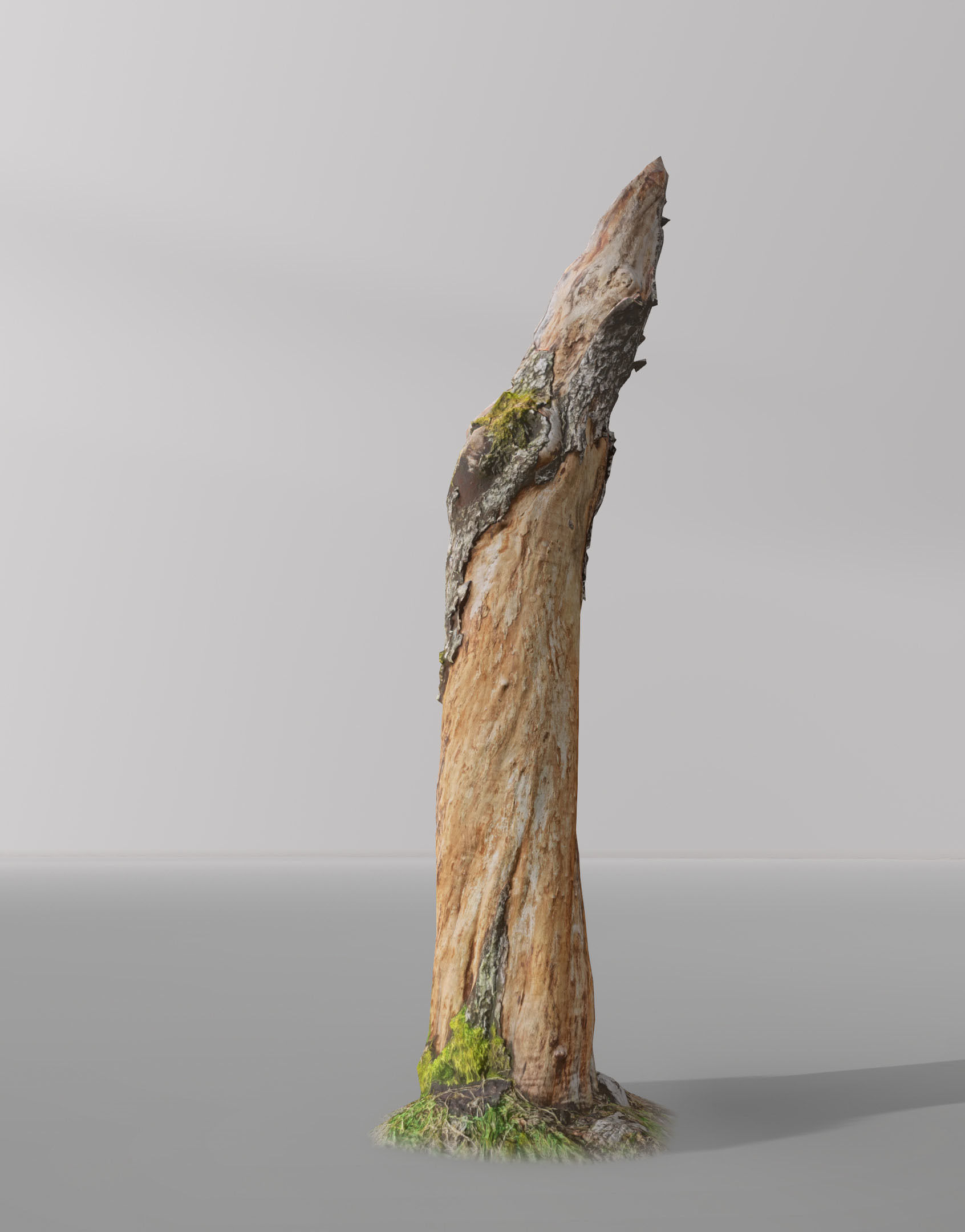 Tree dead 03 Scan free VR / AR / low-poly 3D model | CGTrader