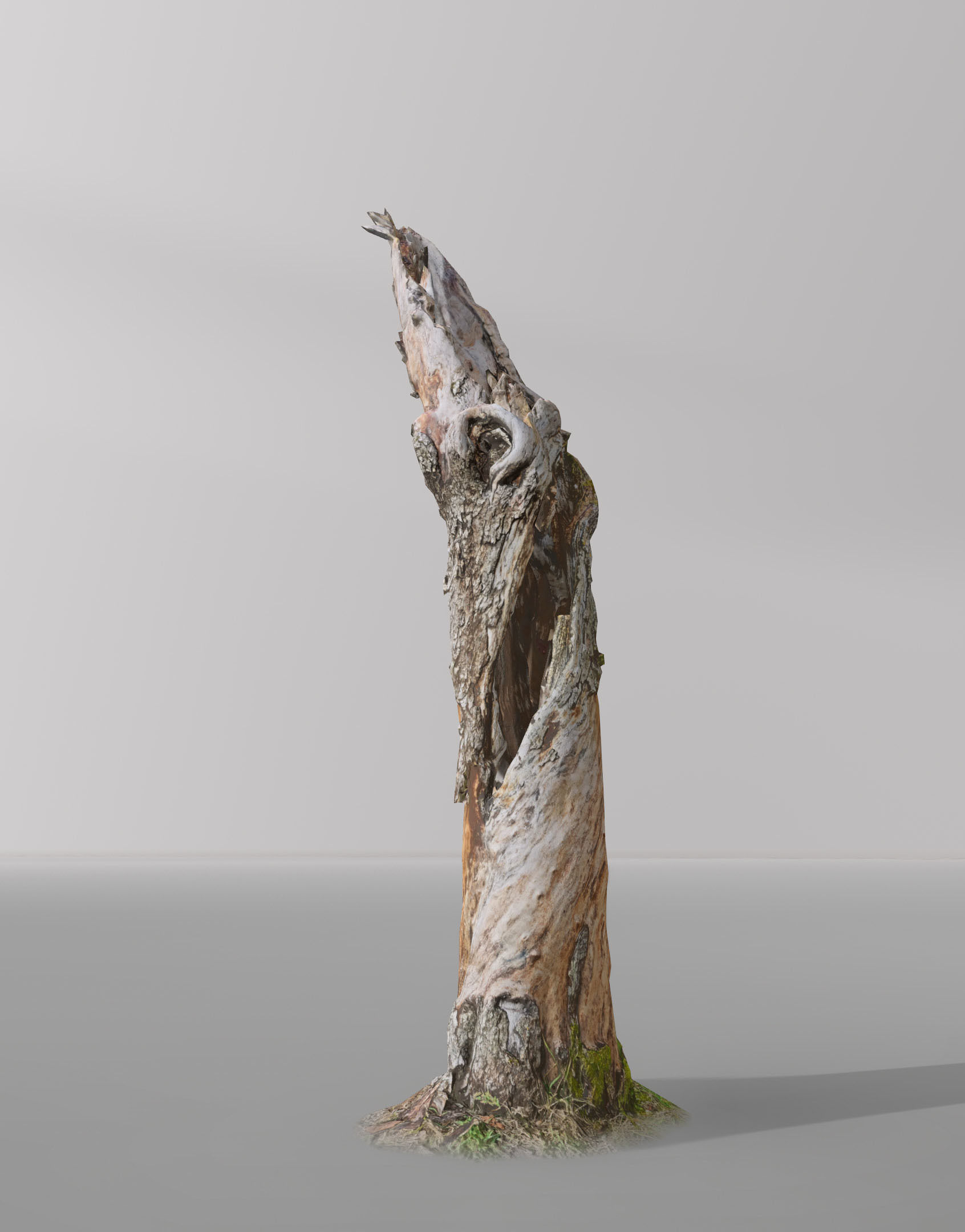 Tree dead 03 Scan free VR / AR / low-poly 3D model | CGTrader