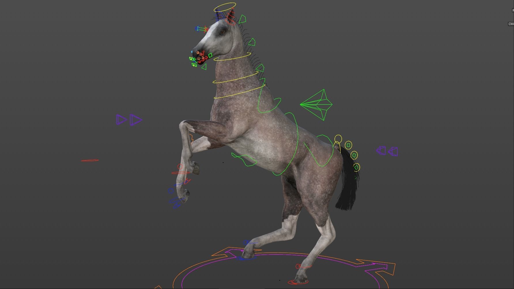 Rigged and Animated Stallion 3D model animated rigged | CGTrader