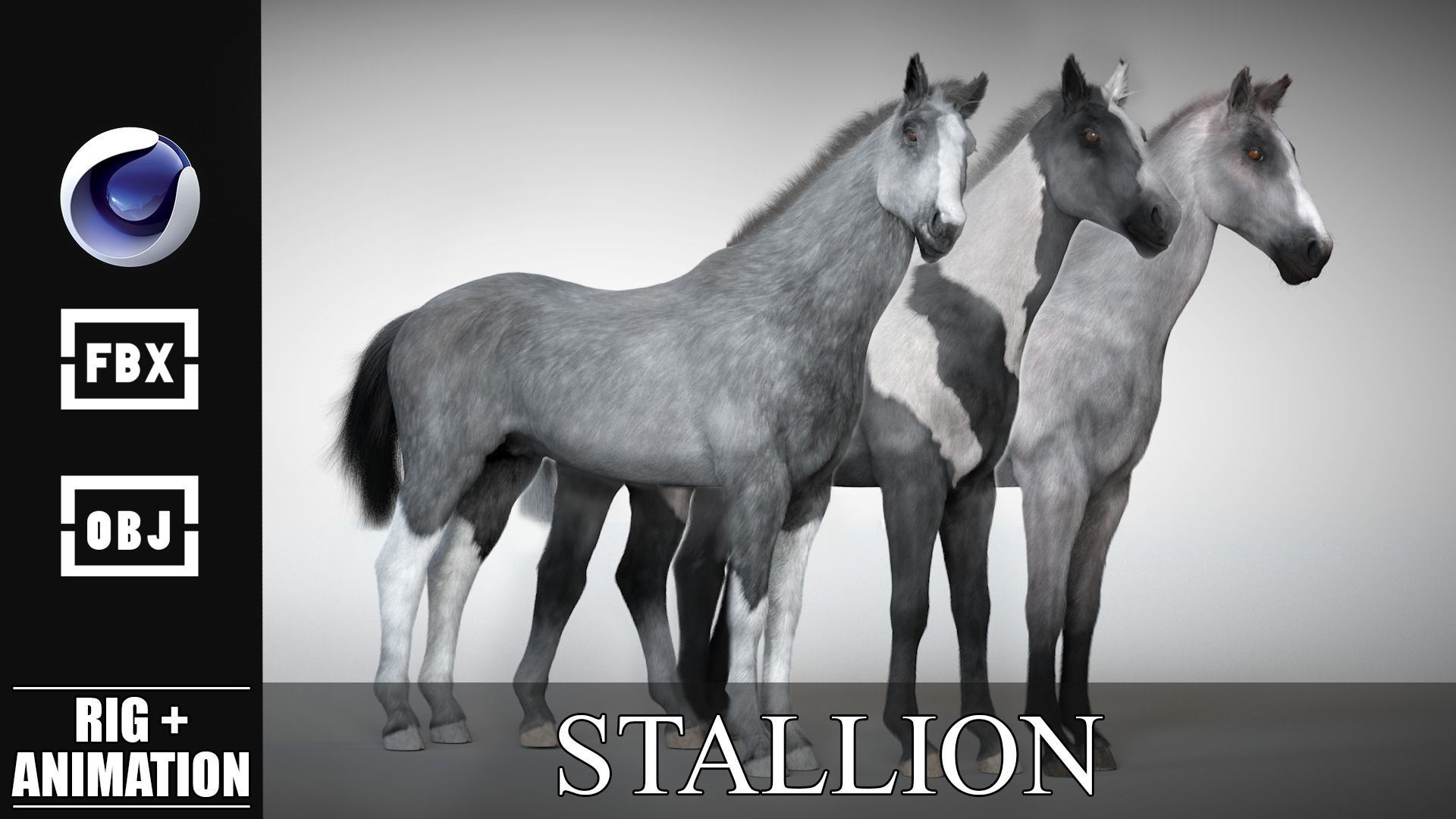 Rigged and Animated Stallion 3D model animated rigged | CGTrader