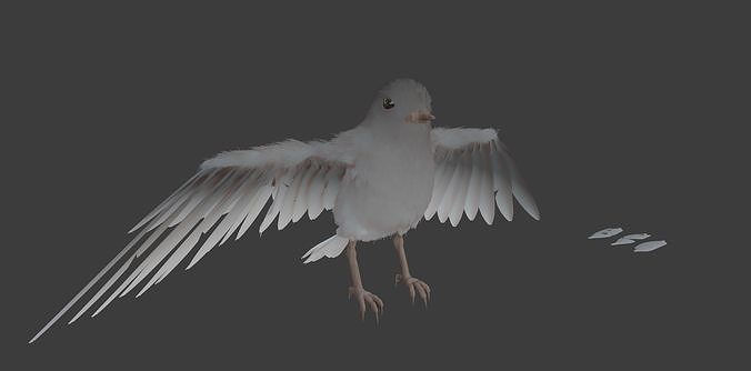 Small Bird 3D model | CGTrader