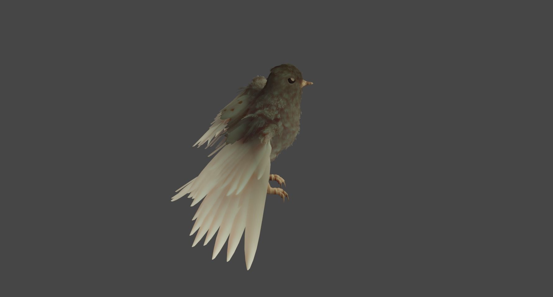 Small Bird 3D model | CGTrader